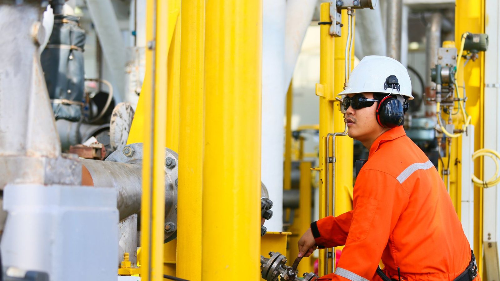 Digger And Operator Hire Rates NZ: Full Cost Breakdown